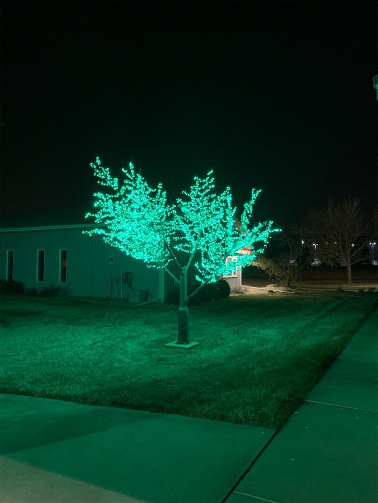 Omaha Trees | Holiday Lights of Omaha